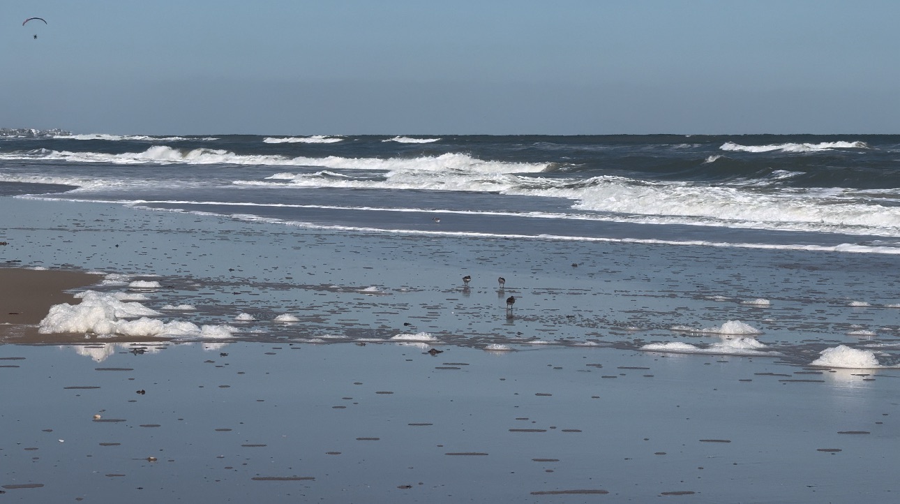 The African American History of American Beach – Through Anna's Eyes